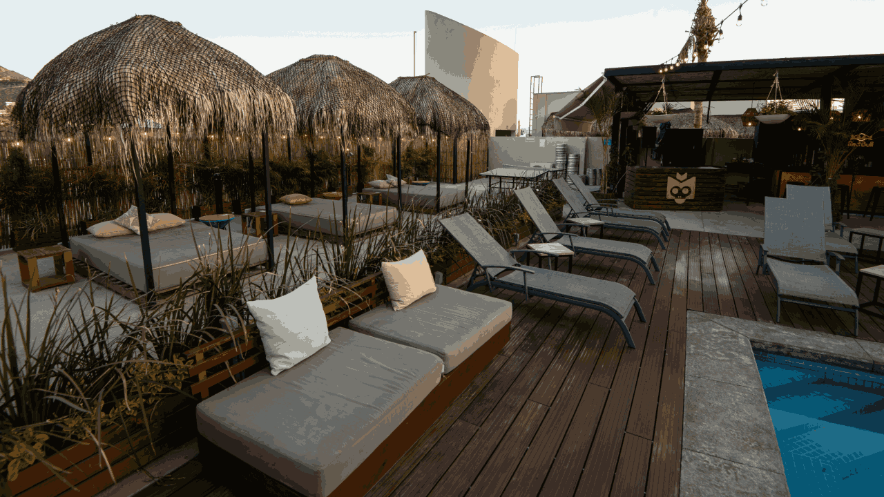 5 razones por las que Mayan Monkey Los Cabos es tu mejor opción de ...