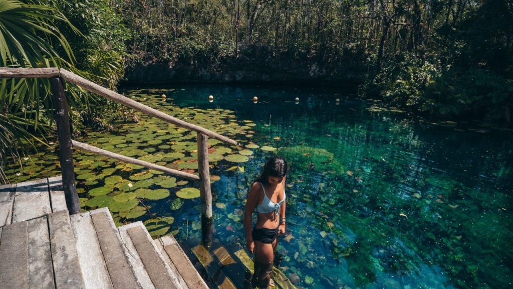 Start 2025 by transforming both mind and body at Mayan Monkey hotels ...